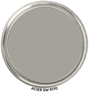 Acier 9170 by Sherwin-Williams Expert SCIENTIFIC Color Review