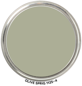 Olive Sprig 1125-4 by PPG Paints Expert SCIENTIFIC Paint Color Review